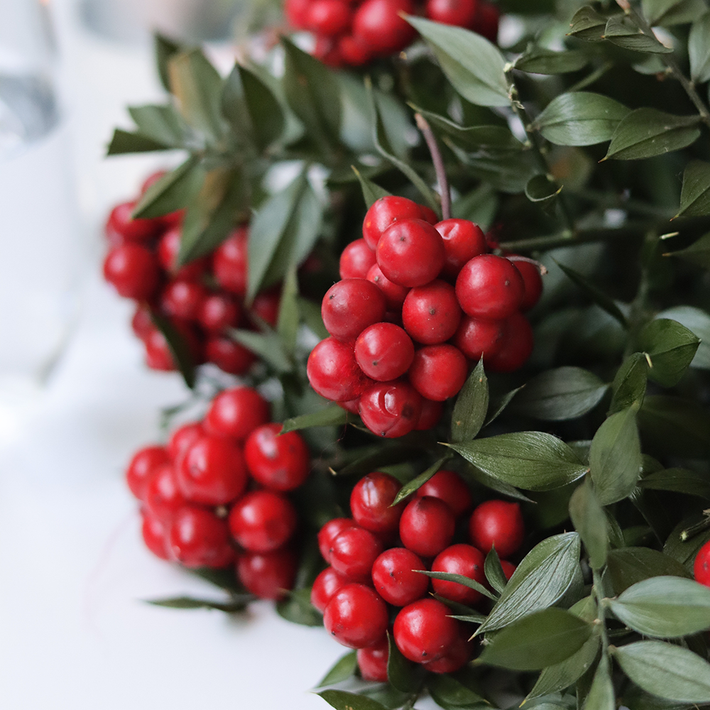 Winter Wreath Ideas – Wreaths.co.uk